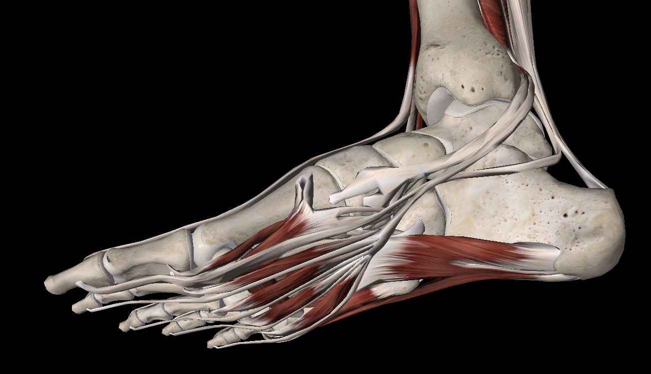 Foot Core - Gustavo Agustí